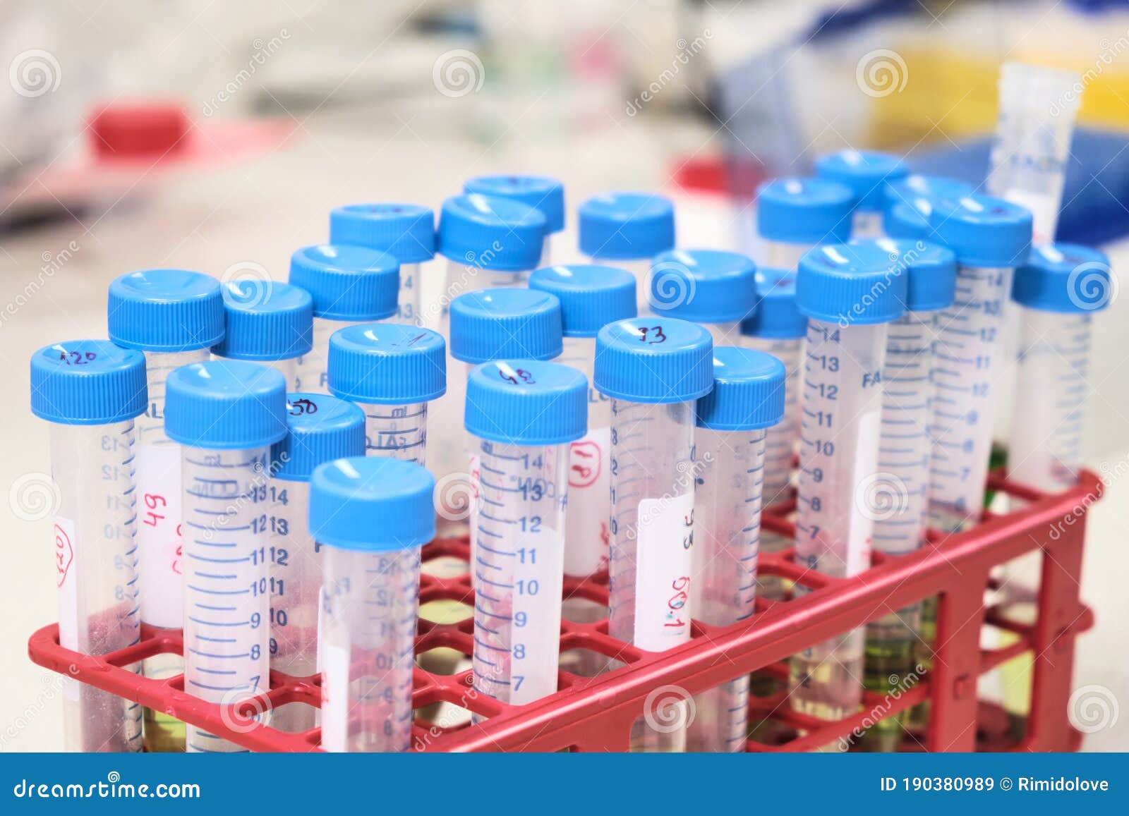 Test Tubes with Samples in the Rack. Scientific Chemical Laboratory ...