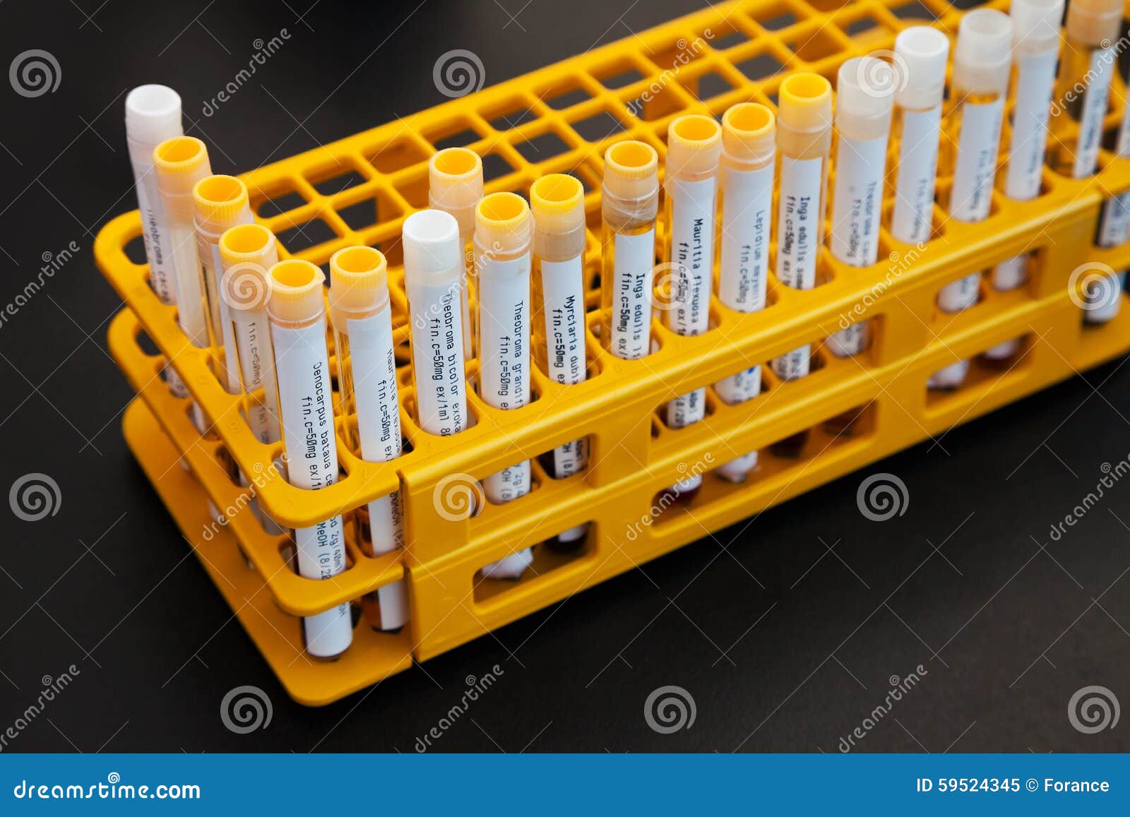 Test Tubes with Samples in Yellow Rack Stock Image - Image of rack ...