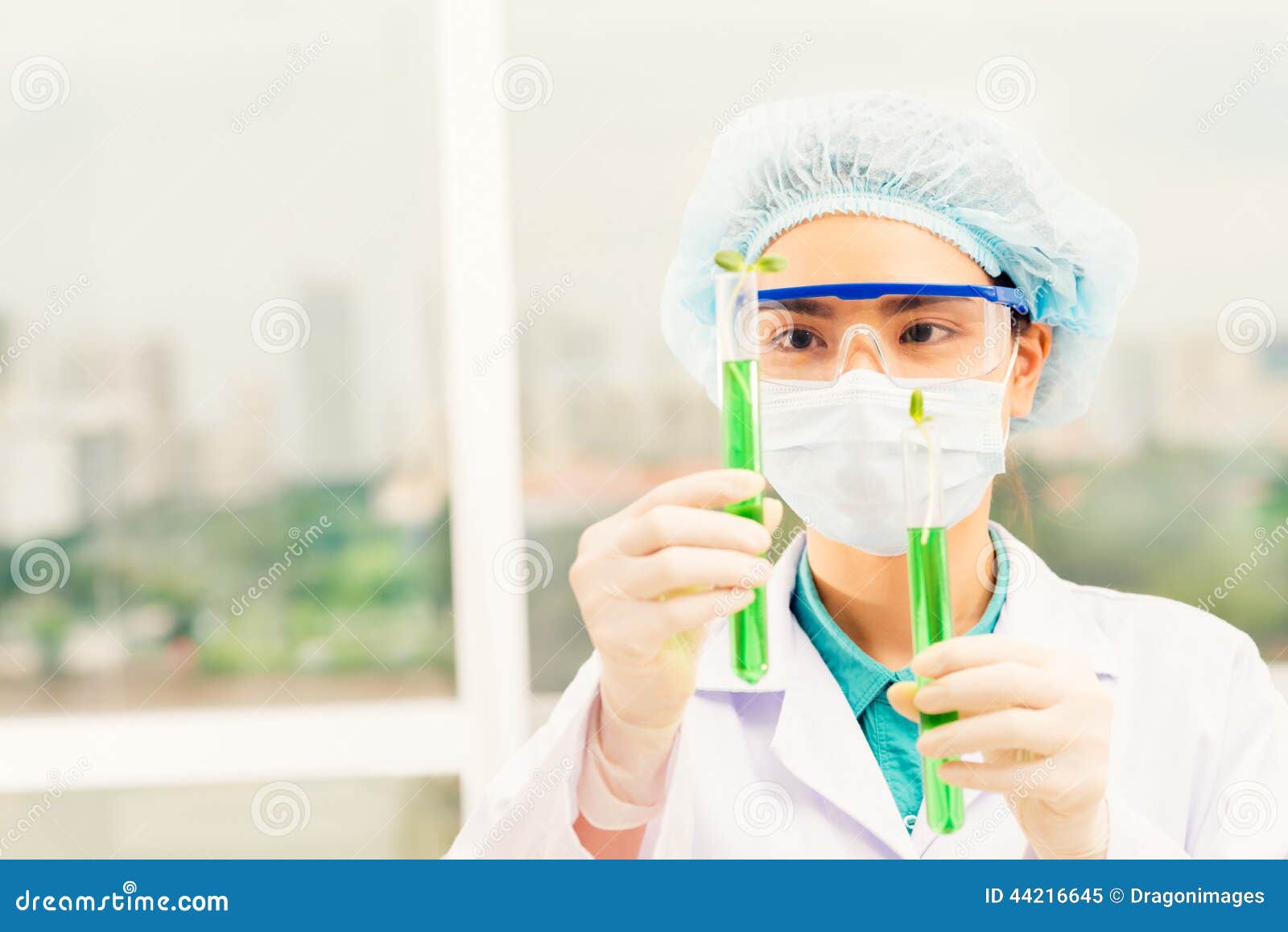 Test tubes with sprouts stock image. Image of ecology - 44216645
