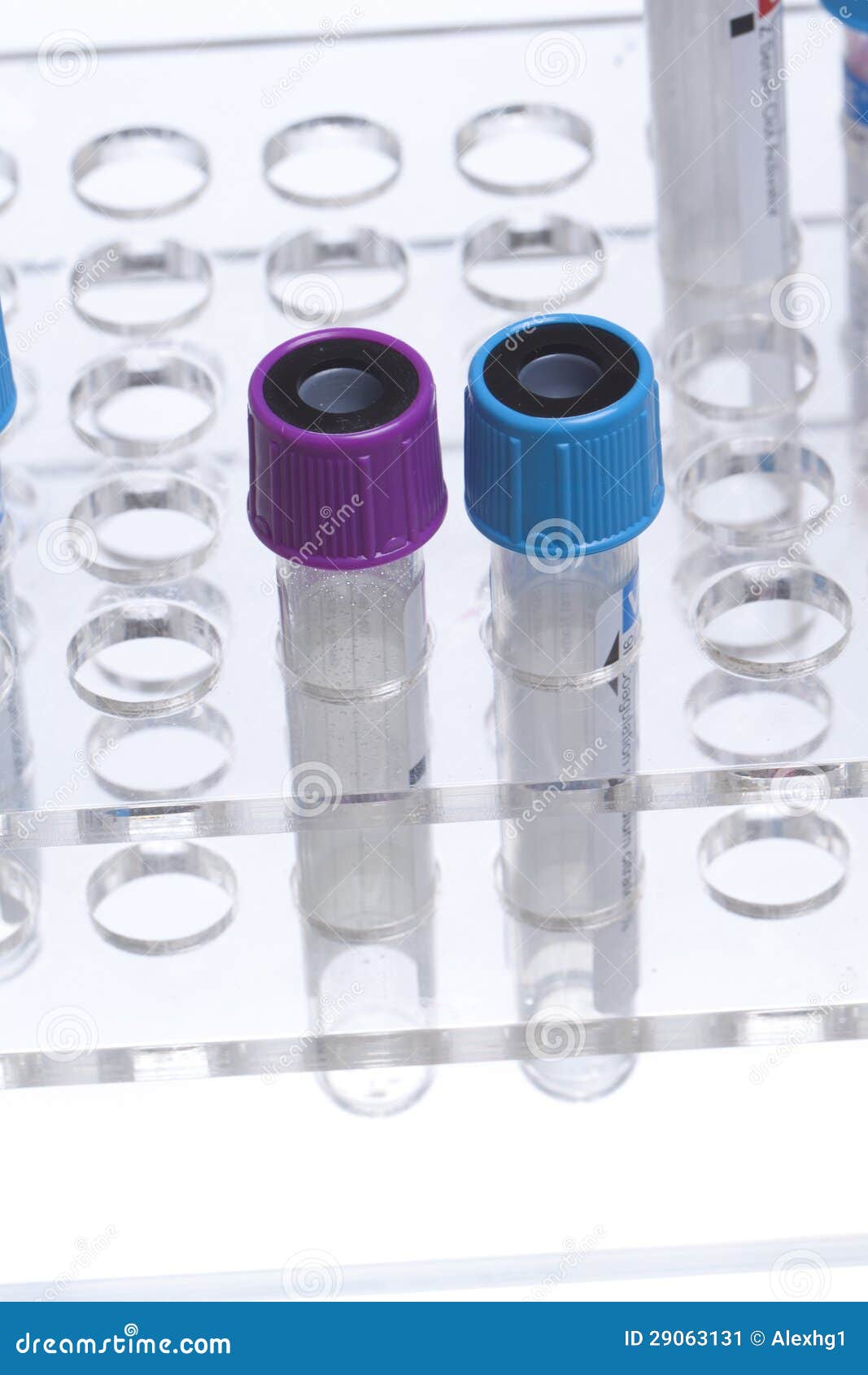 Test tubes on stand stock image. Image of research, microbiology - 29063131