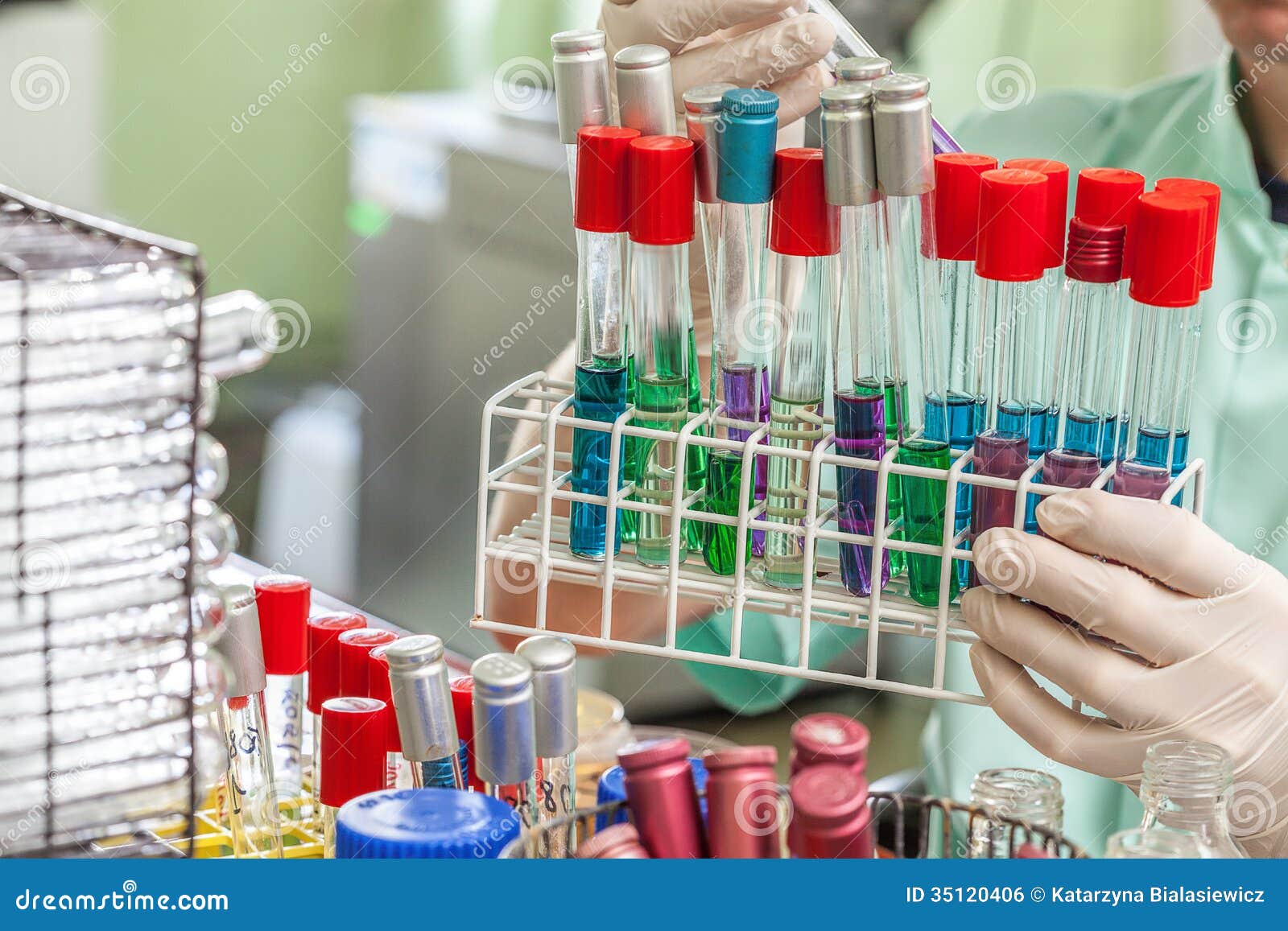 Test tubes on the stand stock photo. Image of liquid - 35120406