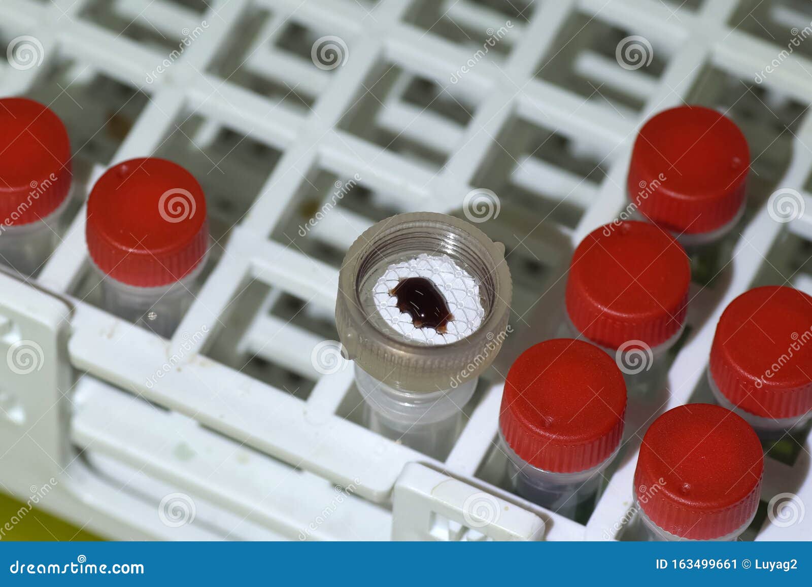 Test Tubes with Stand. Open Tube Stock Image - Image of development ...