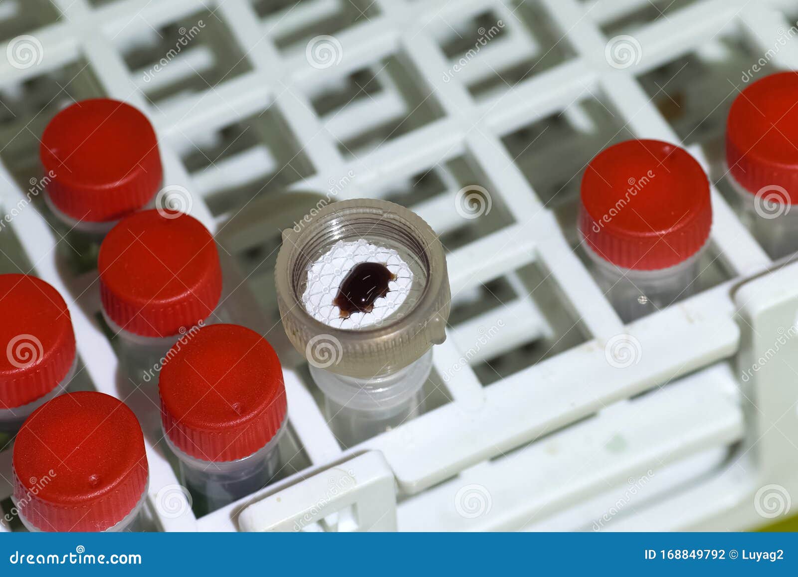 Test Tubes with Stand. Open Tube Stock Photo - Image of beaker ...