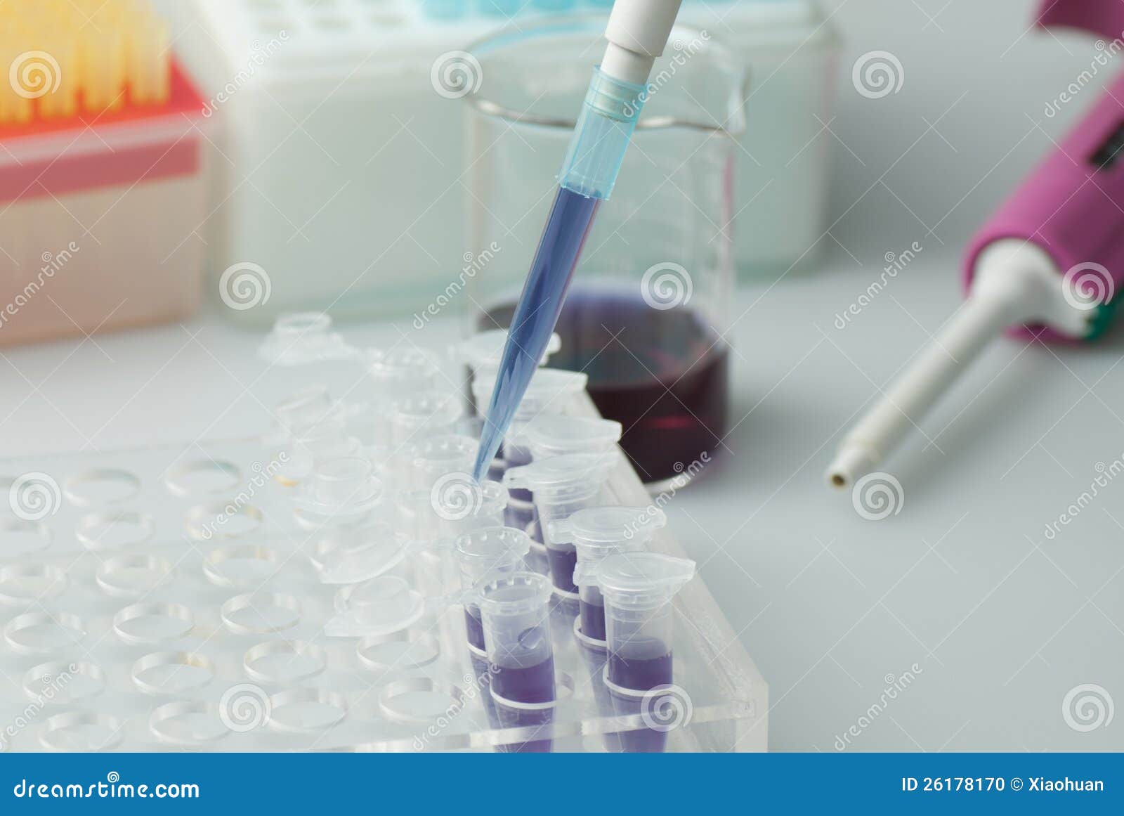Test tubes and vials stock photo. Image of genetics, experiment - 26178170