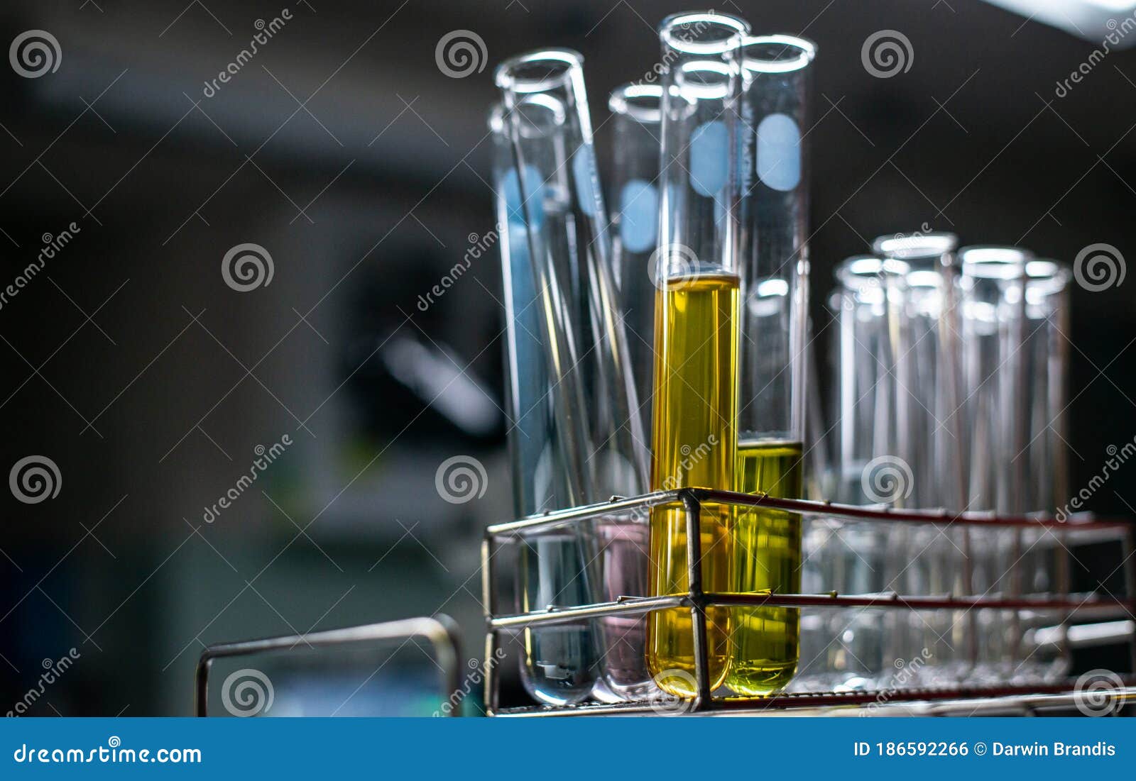 Test Tubes with Yellow Fluid Stock Photo - Image of filled, front ...