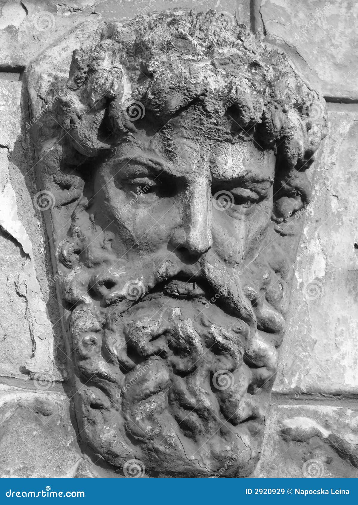 Testa Immagine. Immagine: 2920929