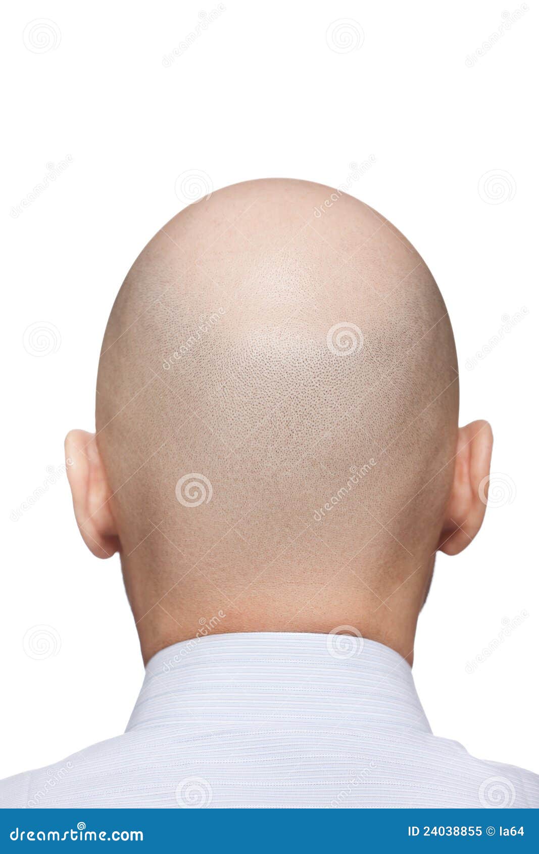 Testa calva dell'uomo immagine stock. Immagine di medicina - 24038855