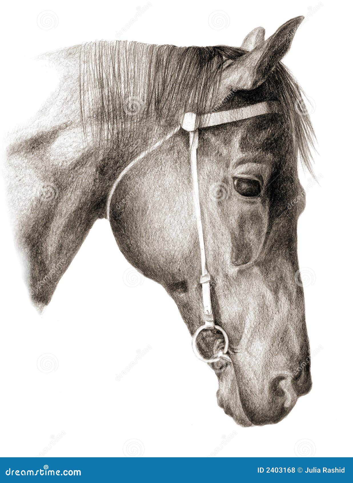 Testa-cavallo illustrazione di stock. Illustrazione di nave - 2403168