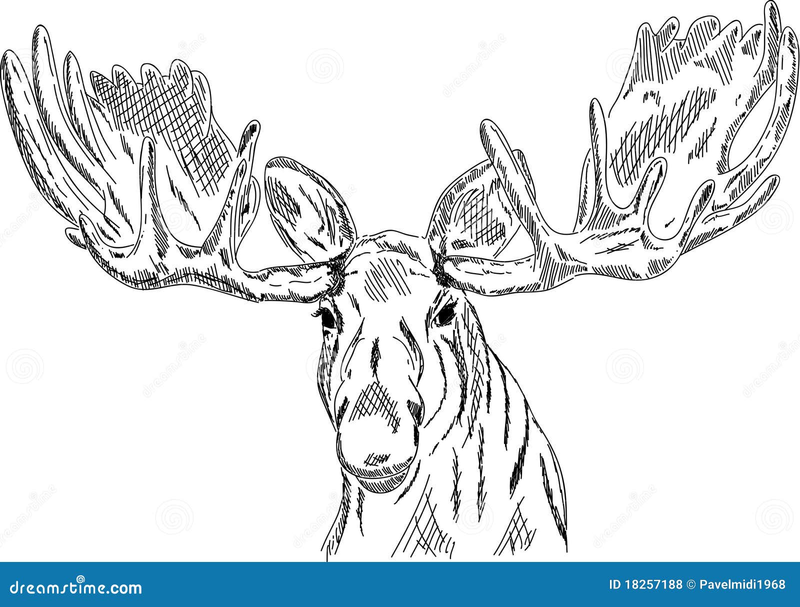 Testa degli alci illustrazione vettoriale. Illustrazione di natura ...