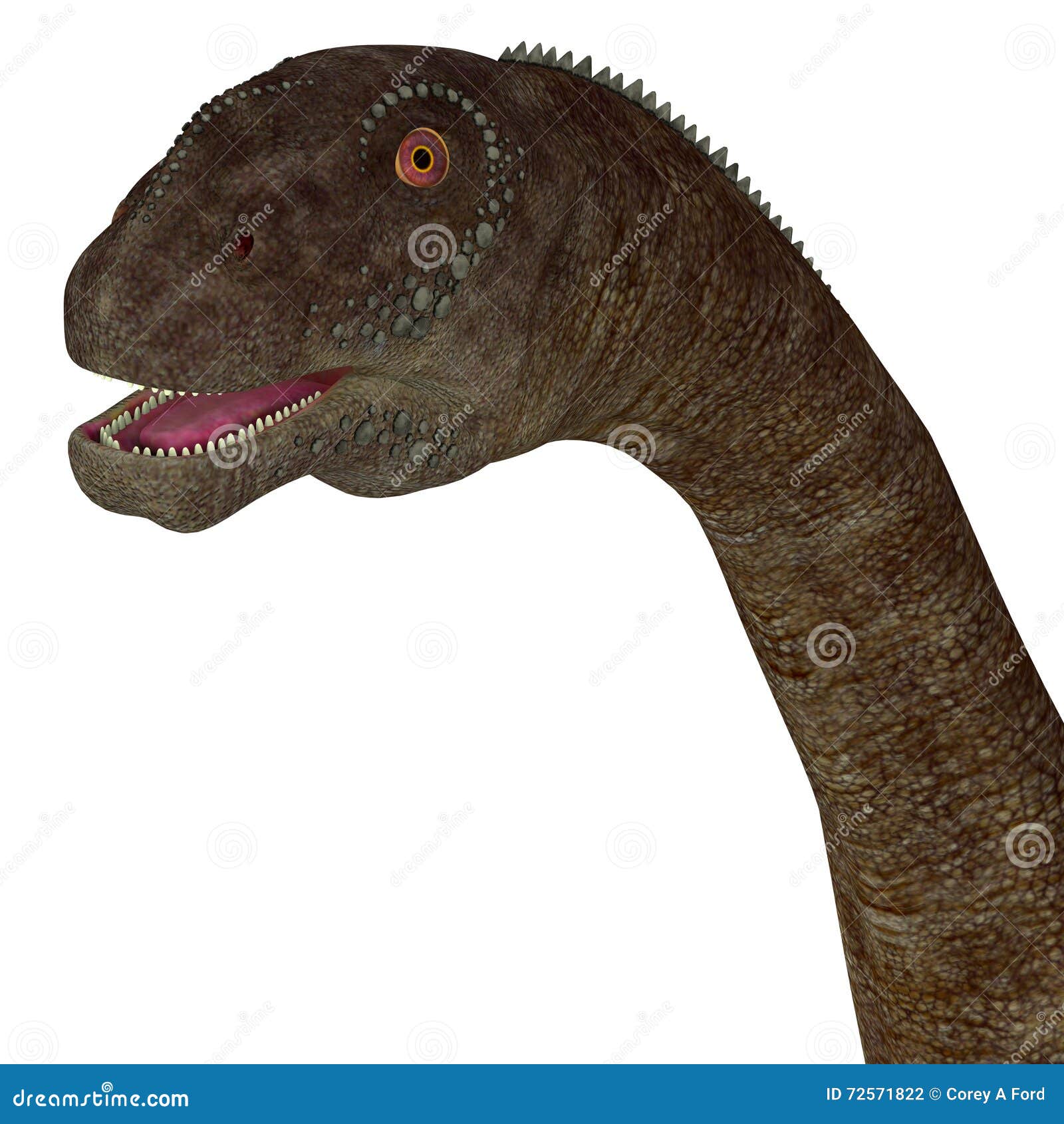 Testa Del Dinosauro Del Malawisaurus Fotografia Stock - Immagine di ...