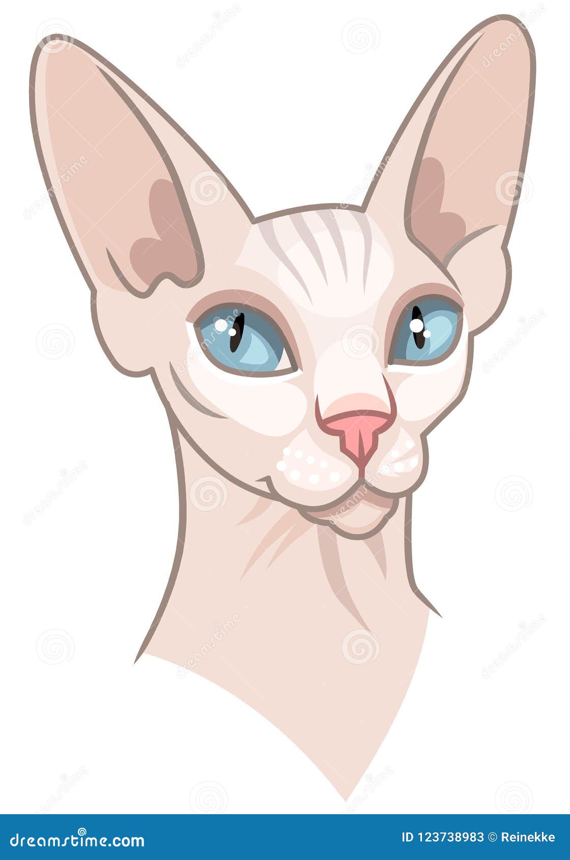 Testa Del Gatto Della Sfinge Illustrazione Vettoriale - Illustrazione ...