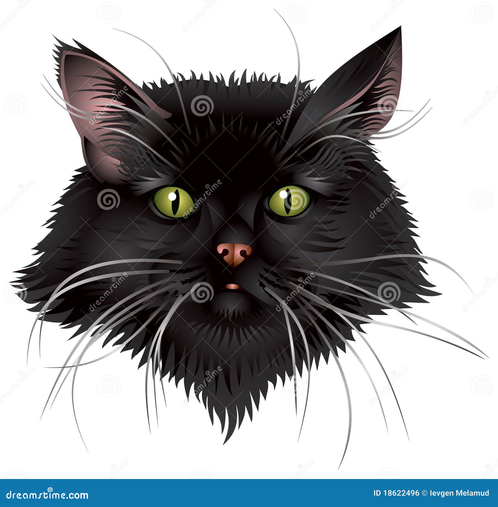 Testa del gatto nero illustrazione vettoriale. Illustrazione di romanzo ...