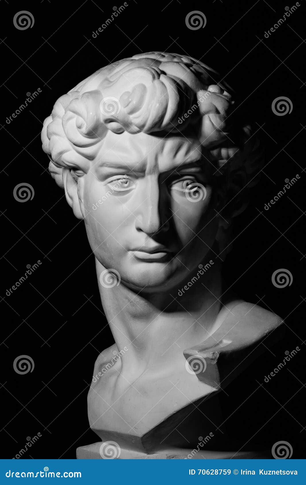 Testa Del Gesso Del David Di Michelangelo Immagine Stock - Immagine di ...