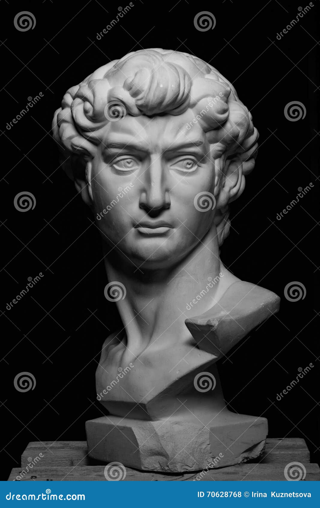 Testa Del Gesso Del David Di Michelangelo Fotografia Stock - Immagine ...