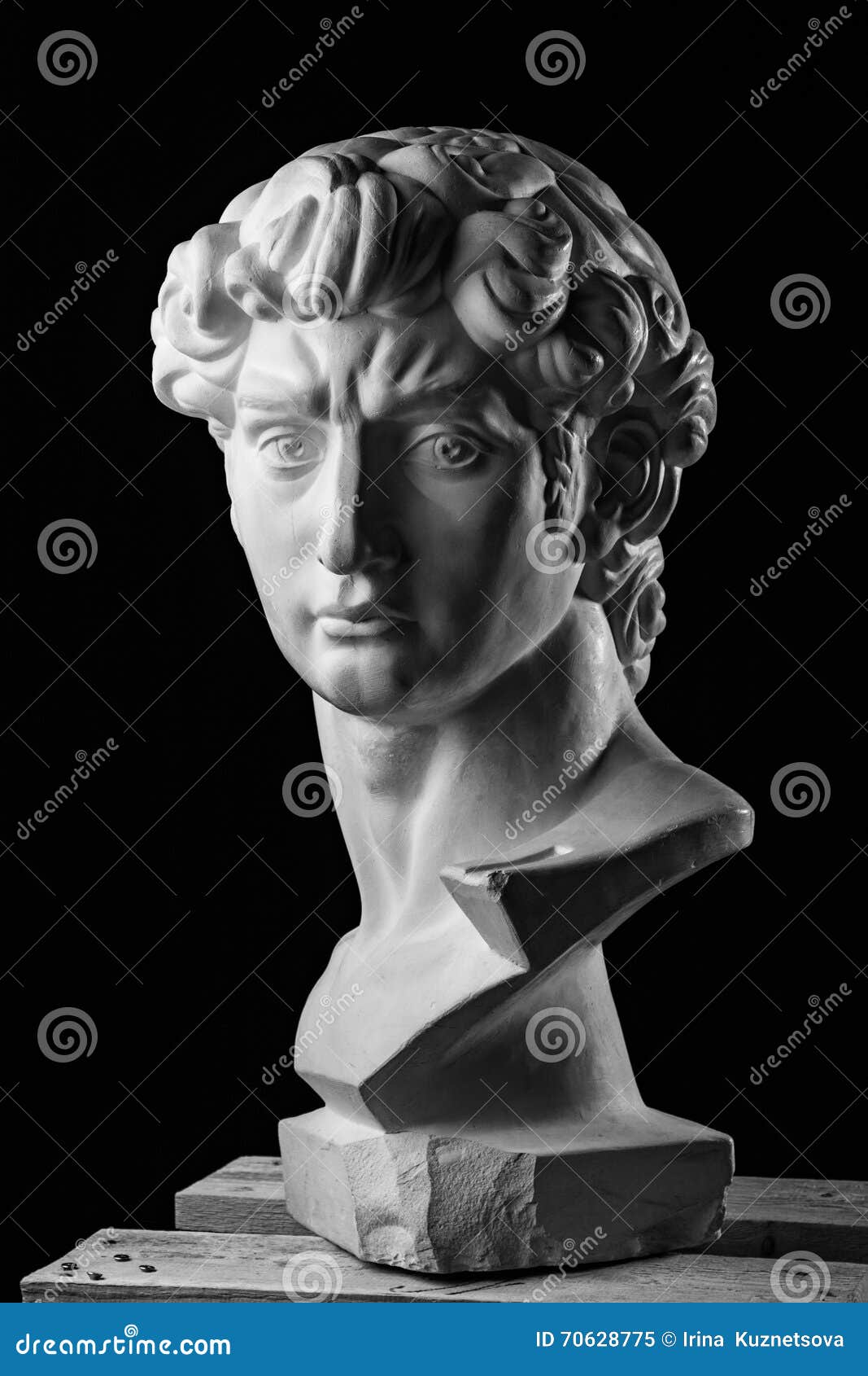 Testa Del Gesso Del David Di Michelangelo Immagine Stock - Immagine di ...