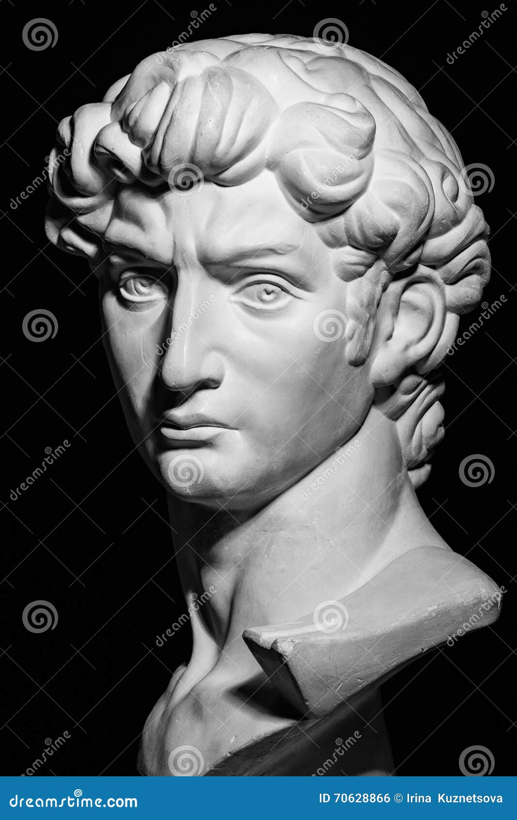 Testa Del Gesso Del David Di Michelangelo Fotografia Stock - Immagine ...