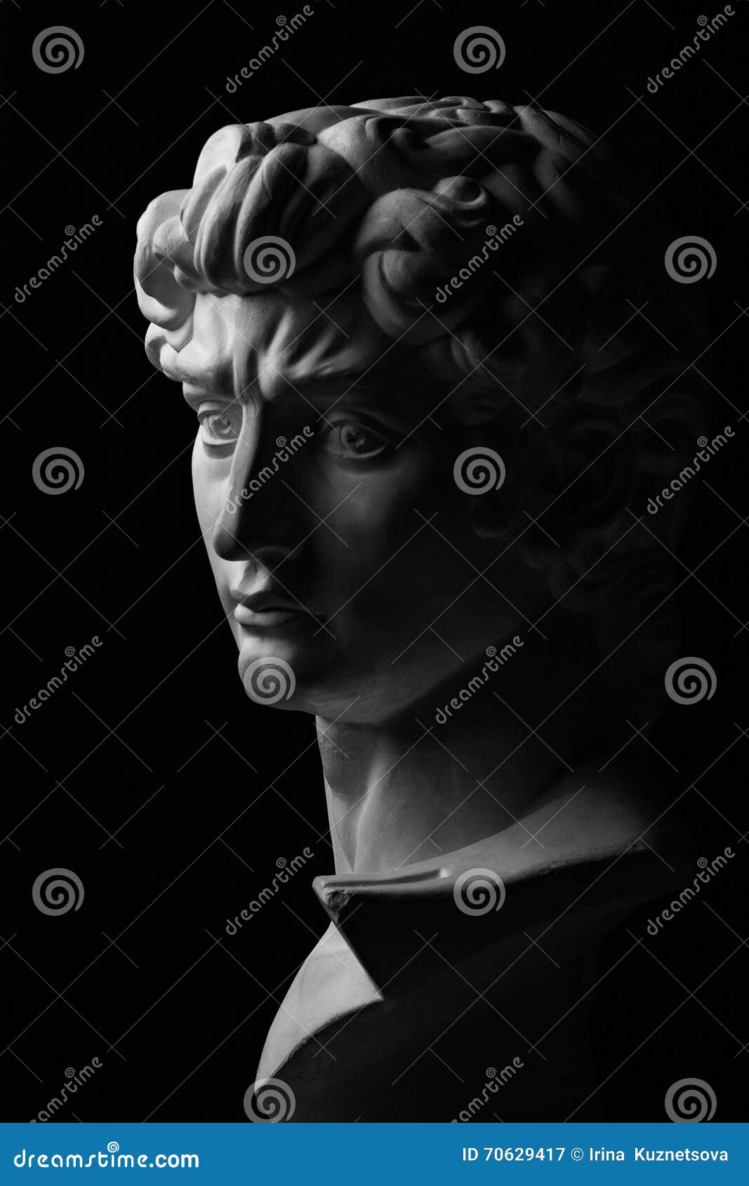 Testa Del Gesso Del David Di Michelangelo Immagine Stock - Immagine di ...