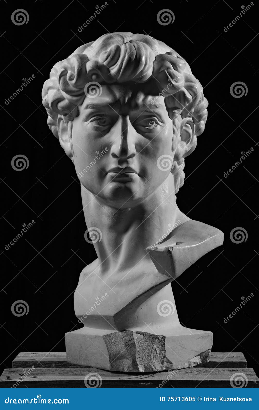 Testa Del Gesso Del David Di Michelangelo Immagine Stock - Immagine di ...