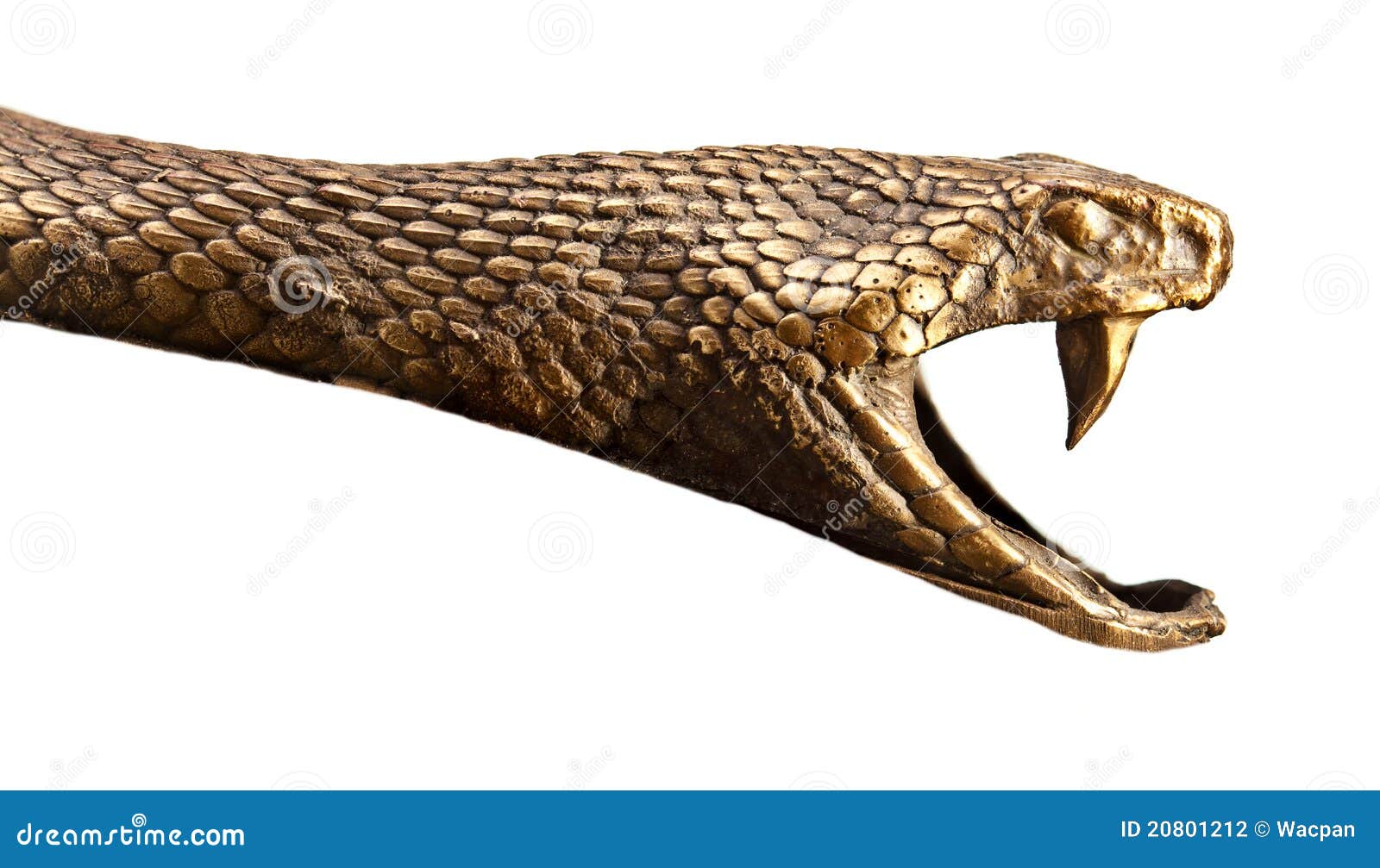 Testa Del Serpente Del Metallo Fotografia Stock - Immagine di isolato ...