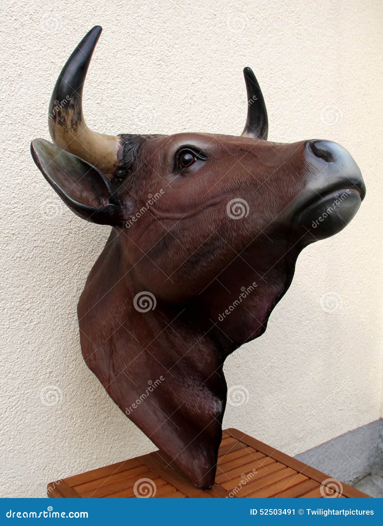 Testa del toro immagine stock. Immagine di toro, maschio - 52503491