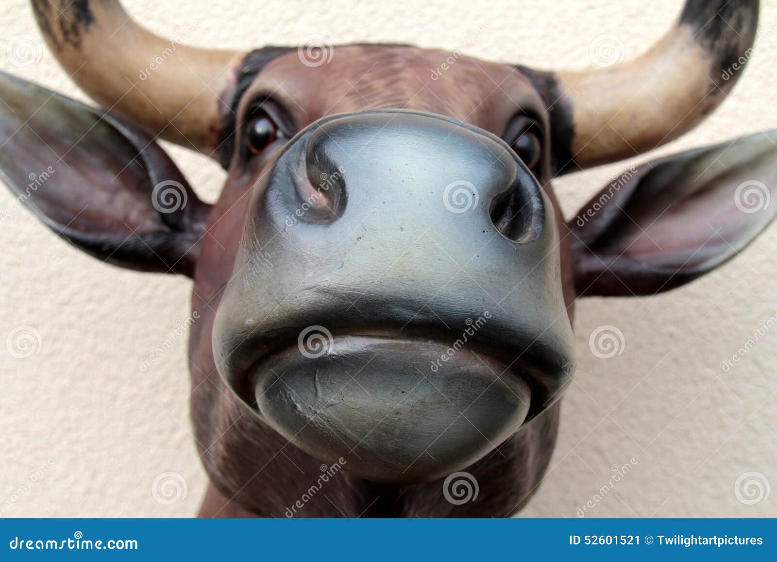 Testa del toro immagine stock. Immagine di impermeabile - 52601521