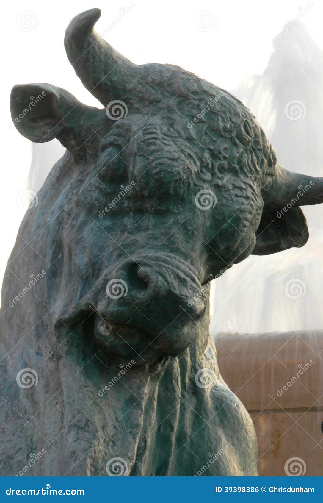 Testa Della Statua Del Toro Nero in Nizza, Francia Fotografia Stock ...