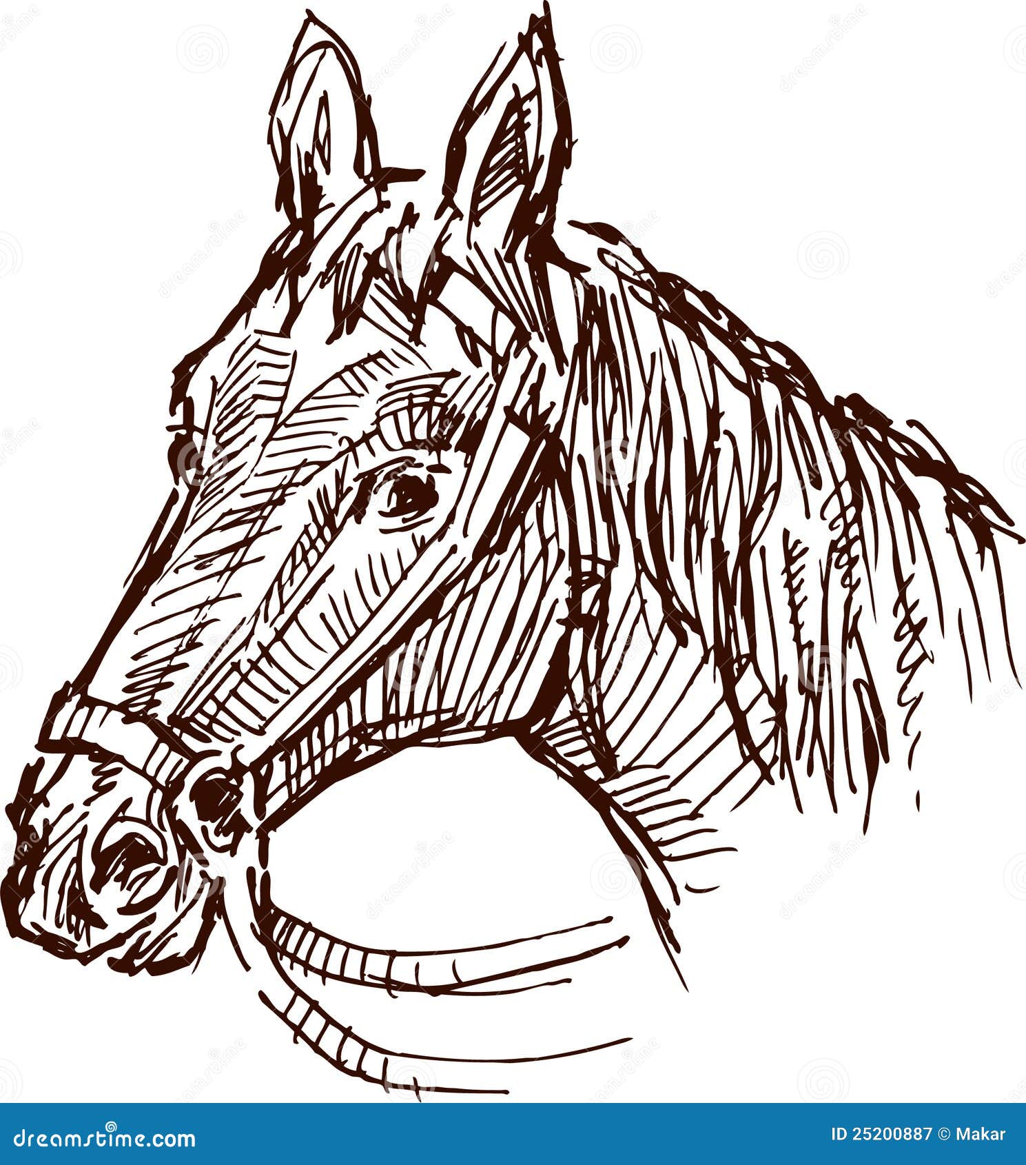 Testa di cavallo illustrazione vettoriale. Illustrazione di isolato ...