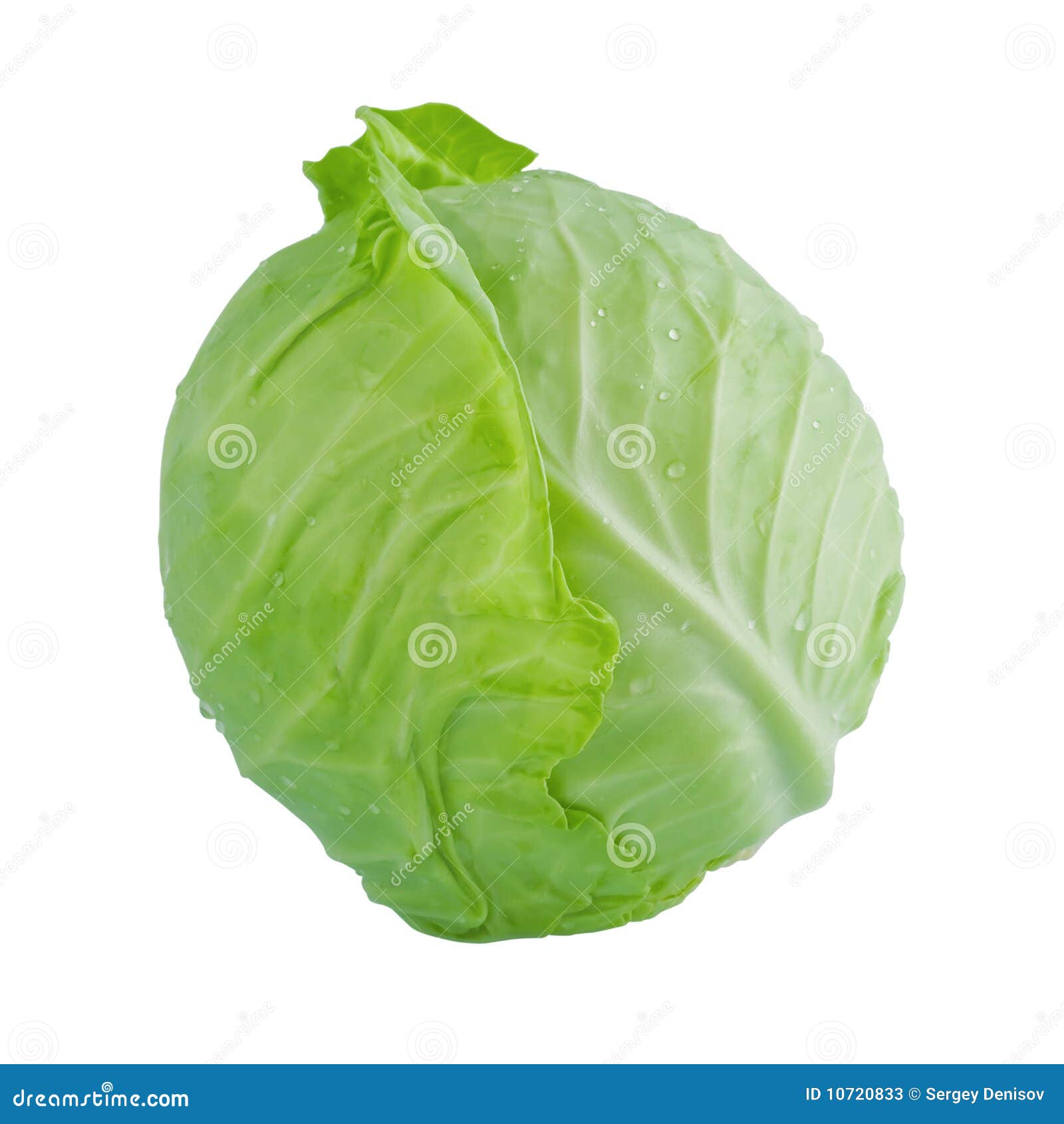 Testa di cavolo verde immagine stock. Immagine di vegetariano - 10720833