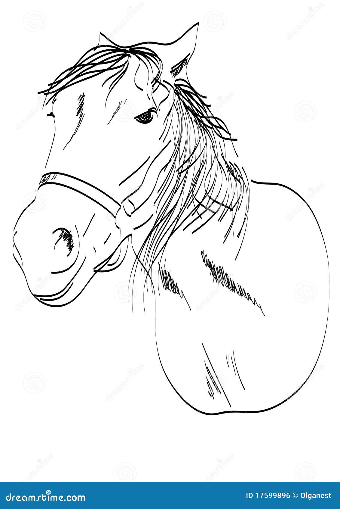 Testa di un cavallo illustrazione vettoriale. Illustrazione di recinto ...