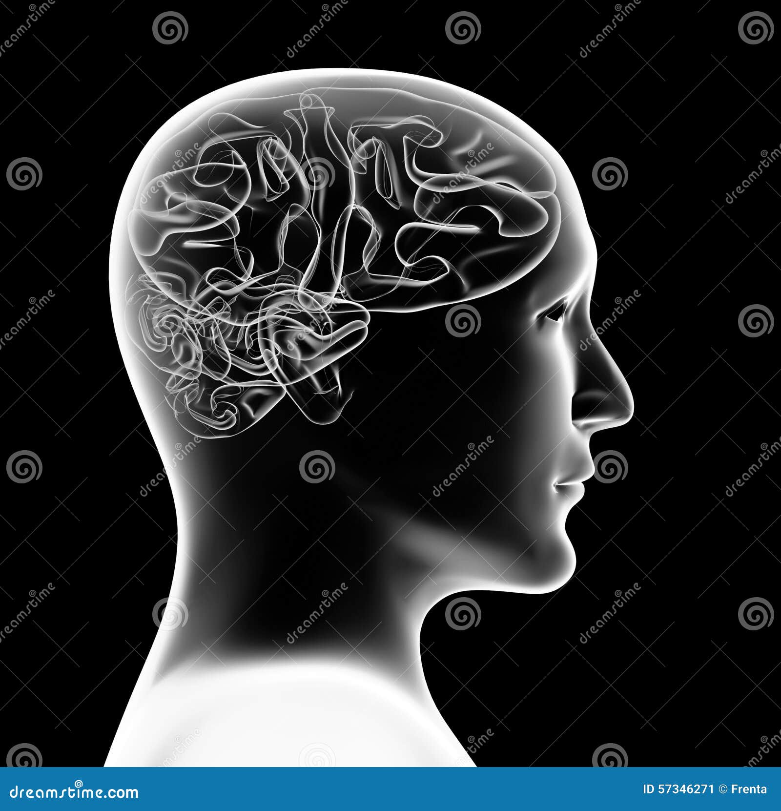 Testa Trasparente 3d Della Persona E Del Cervello Illustrazione di ...