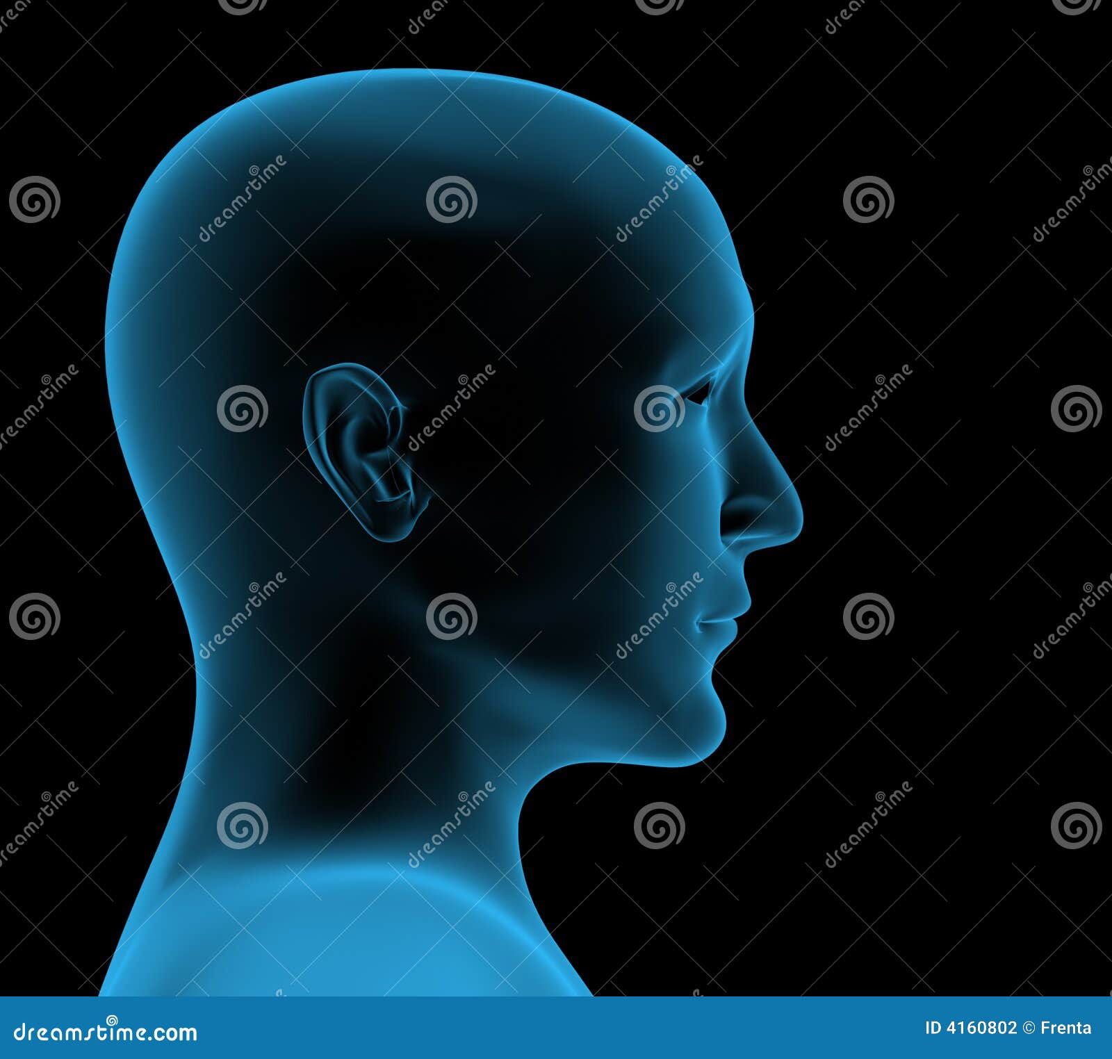 Testa Trasparente Della Persona - Raggi X Illustrazione di Stock ...