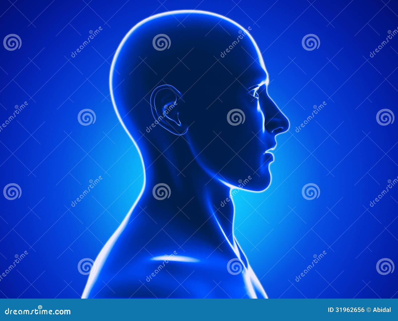 Testa umana illustrazione di stock. Illustrazione di biologia - 31962656