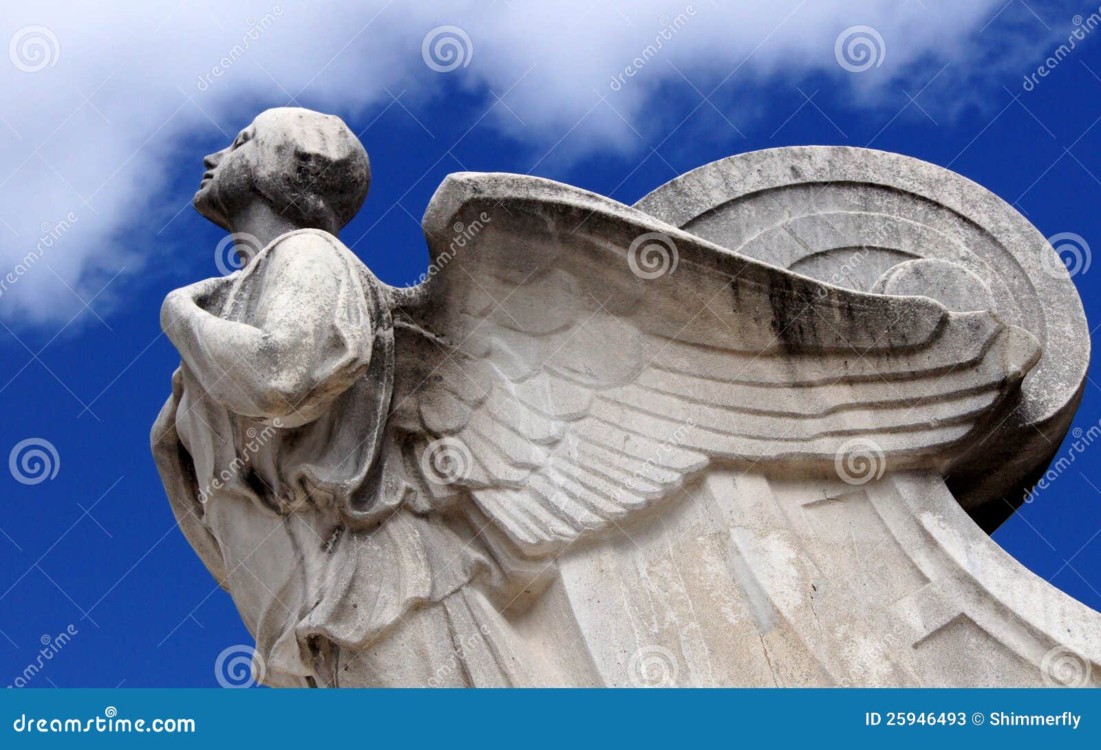 Testaferro con alas imagen de archivo. Imagen de hada - 25946493