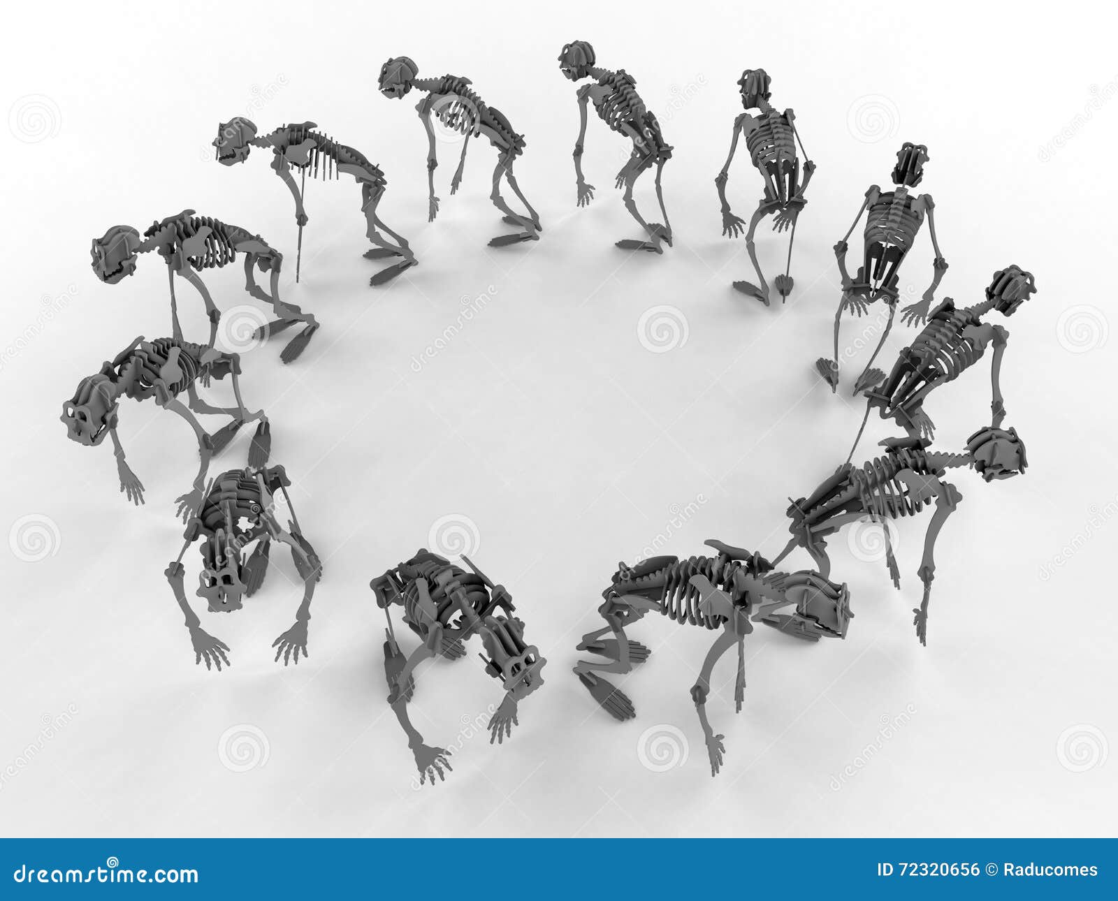 Teste Padrão Circular De Esqueleto Do Primata Ilustração Stock ...