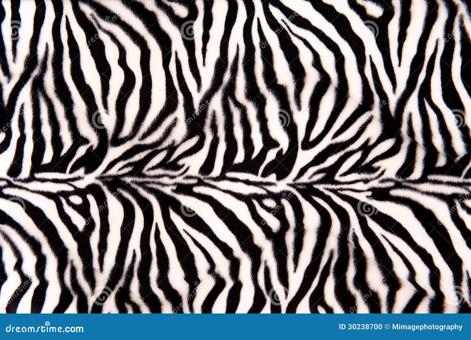 Teste padrão da zebra foto de stock. Imagem de cabelo - 30238700