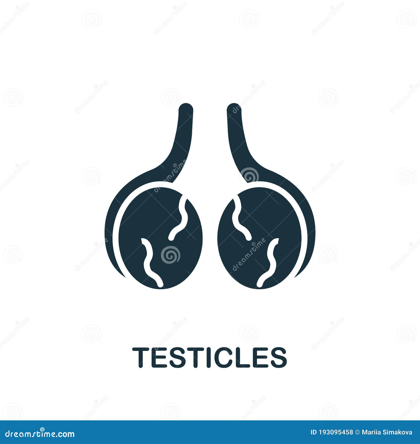 Testicles Icon. Simple Element From Internal Organs Collection ...
