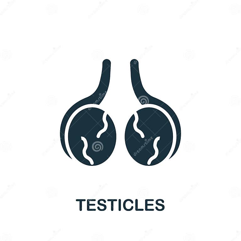 Testicles Icon. Simple Element from Internal Organs Collection ...