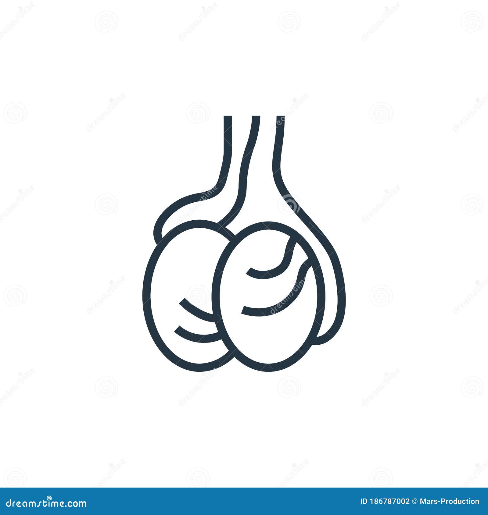 Testicles Vector Icon Testicles Editable Stroke Testicles Linear