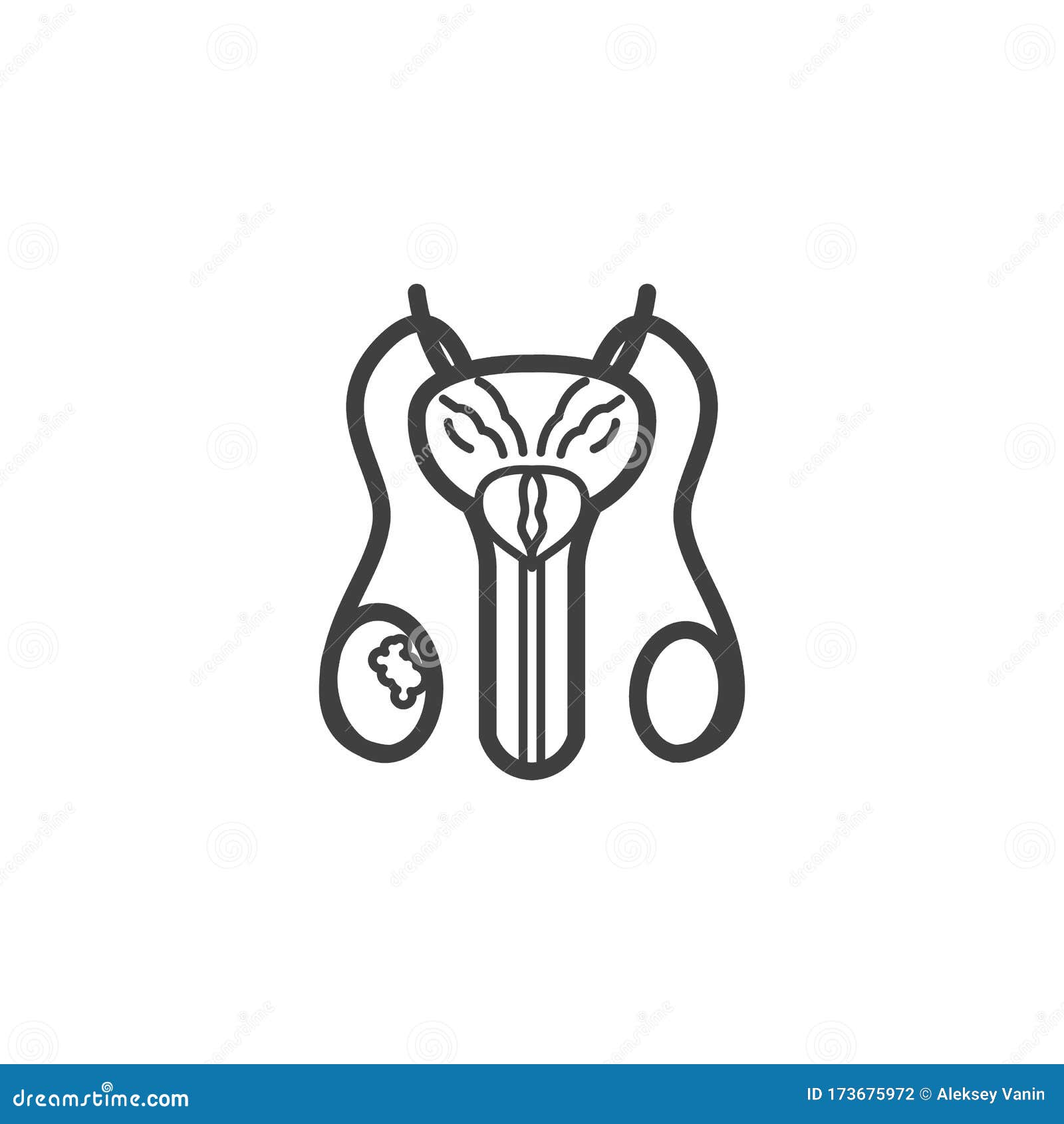 Testicular Cancer Line Icon Stock Vector Illustration Of Medical