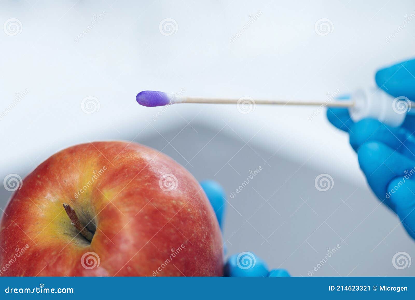 Testing Apple Fruit for Pesticide Residue Stock Image - Image of ...