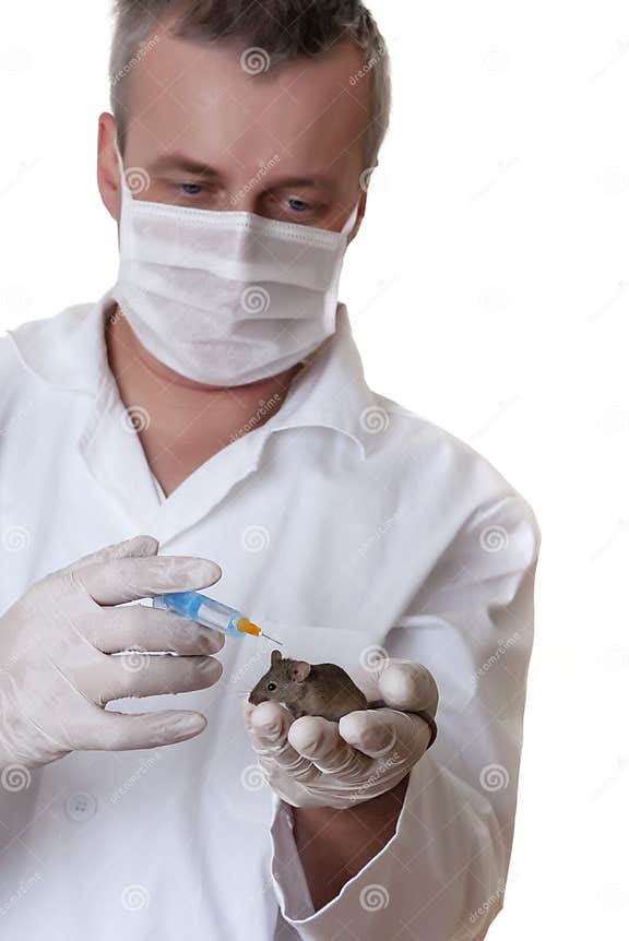 Testing drugs stock image. Image of animal, care, education - 29155205