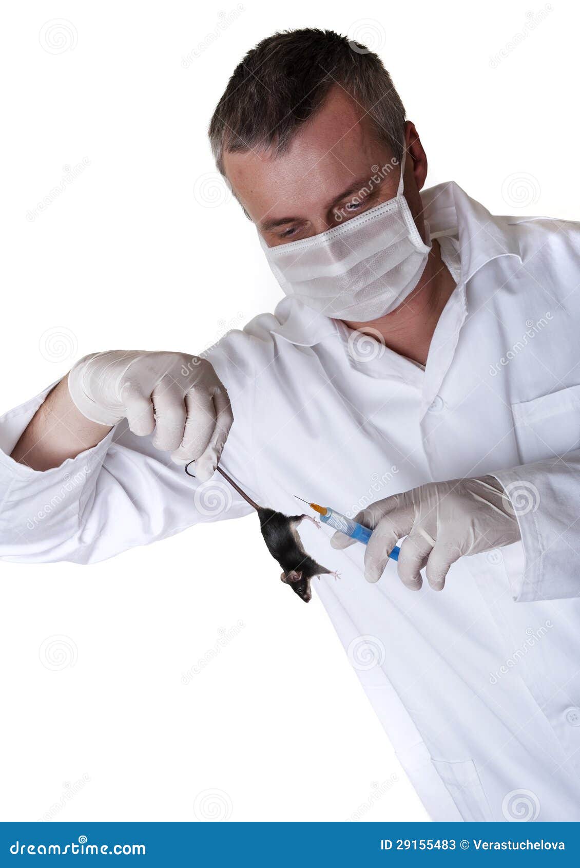 Testing Drugs and Vaccine in Mice in a Lab Stock Image - Image of ...