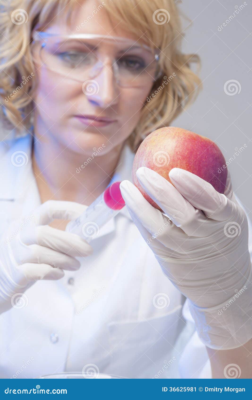 Testing Genetic Modified Apple Stock Image - Image of facial, glassware ...