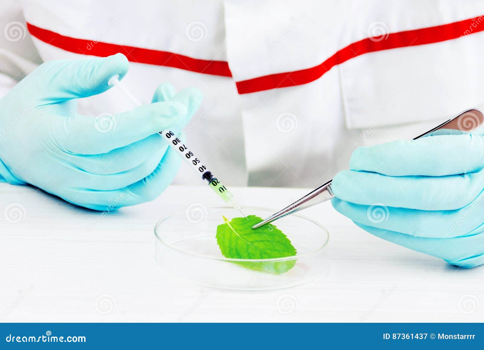 Testing gmo products stock image. Image of chemical, flora - 87361437