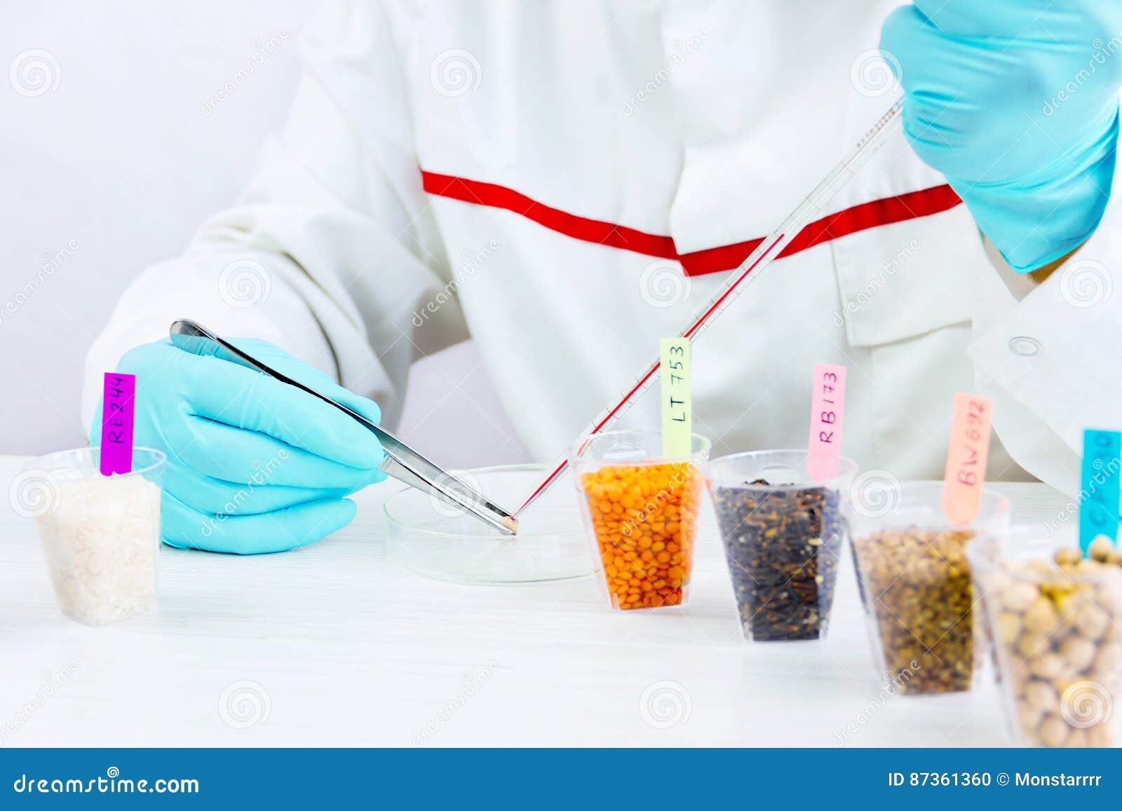 Testing gmo products stock photo. Image of male, laboratory - 87361360