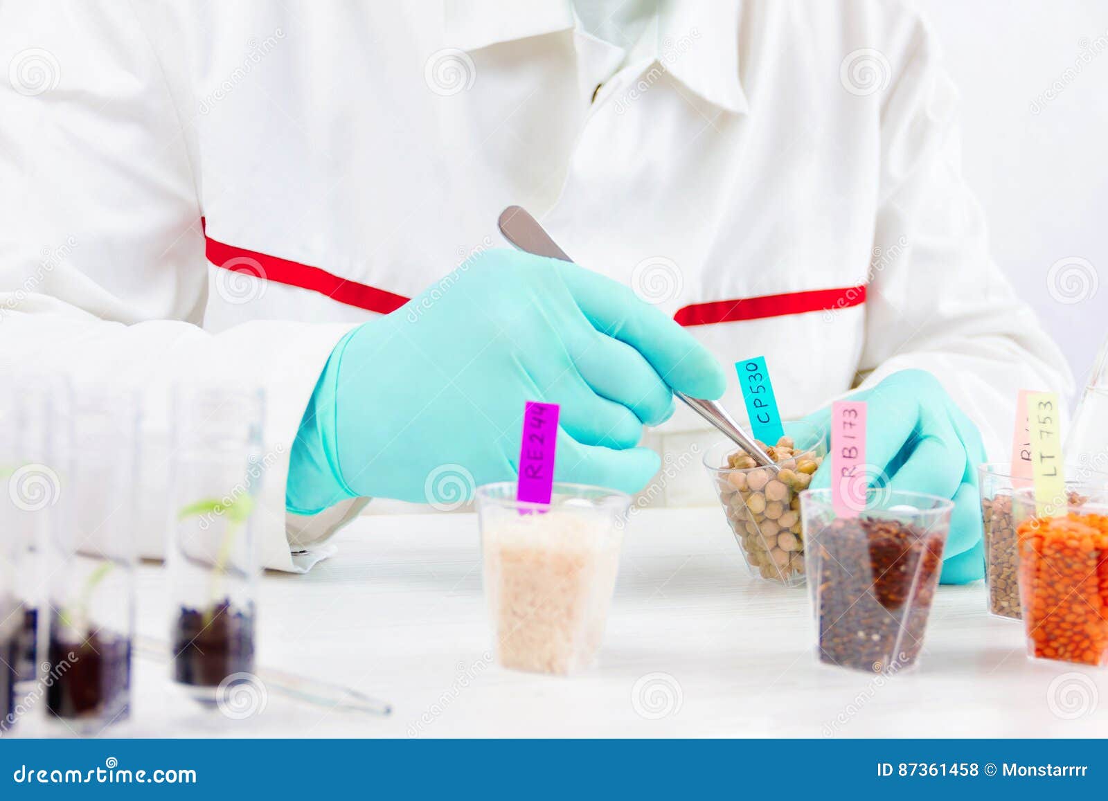 Testing gmo products stock photo. Image of grain, experimental - 87361458