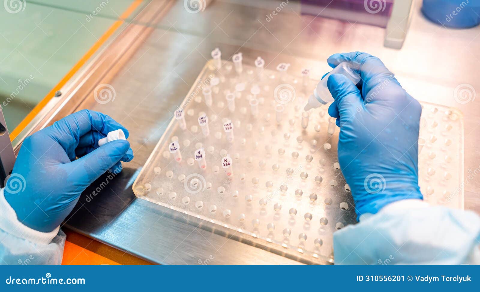 Testing in Laboratory. Chemical Research. Prevention Stock Image ...
