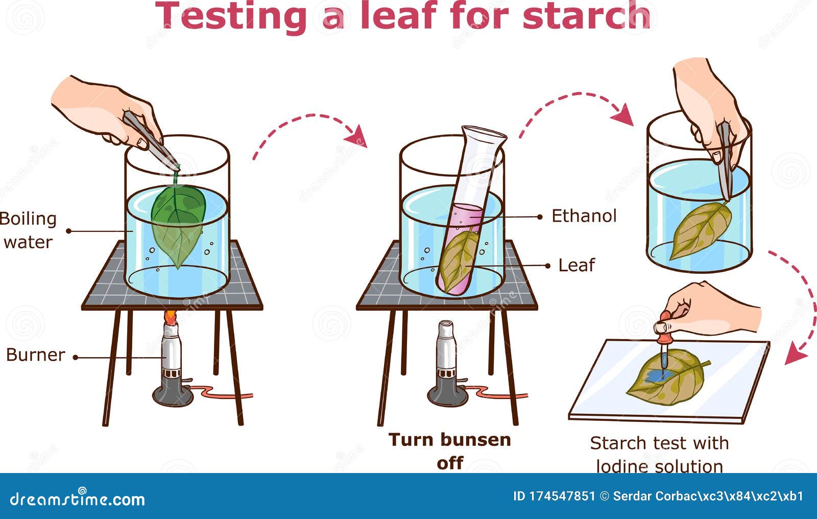 Starch Cartoons, Illustrations & Vector Stock Images - 6891 Pictures to ...