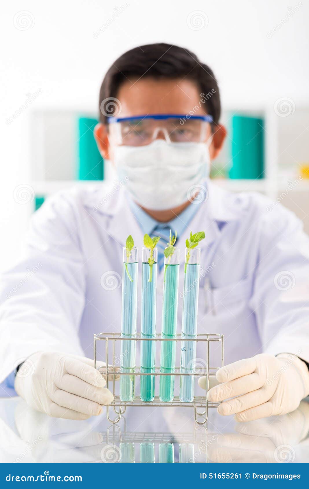 Testing plants stock image. Image of asian, research - 51655261
