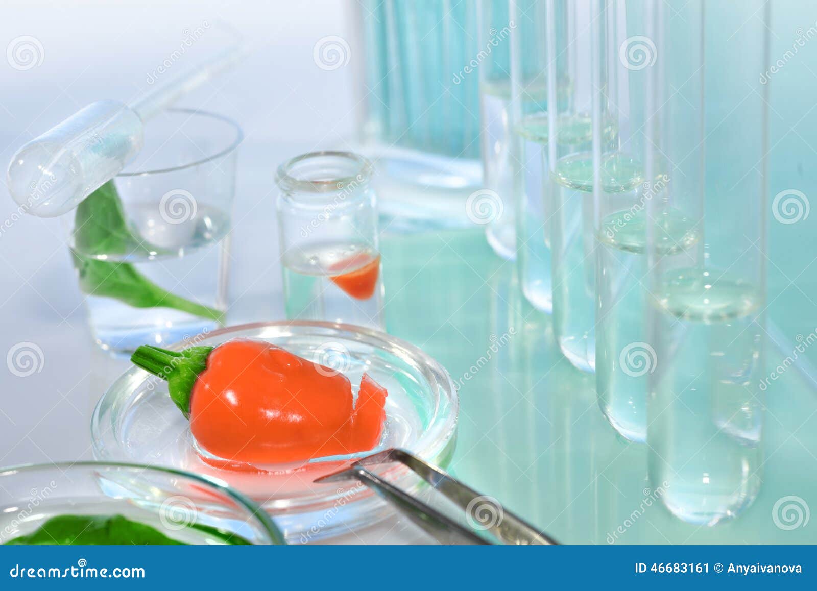Testing Red Peppers for Contamination with Pesticides Stock Image ...